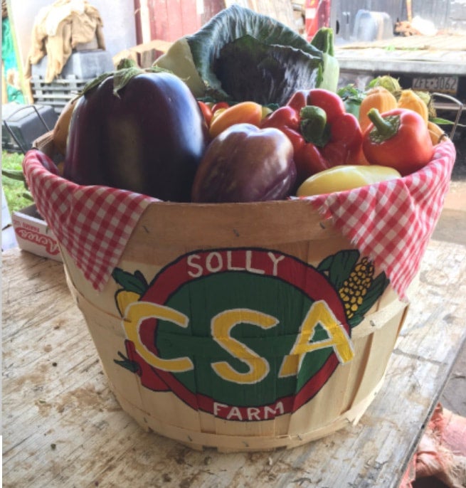 CSA | Solly Farm