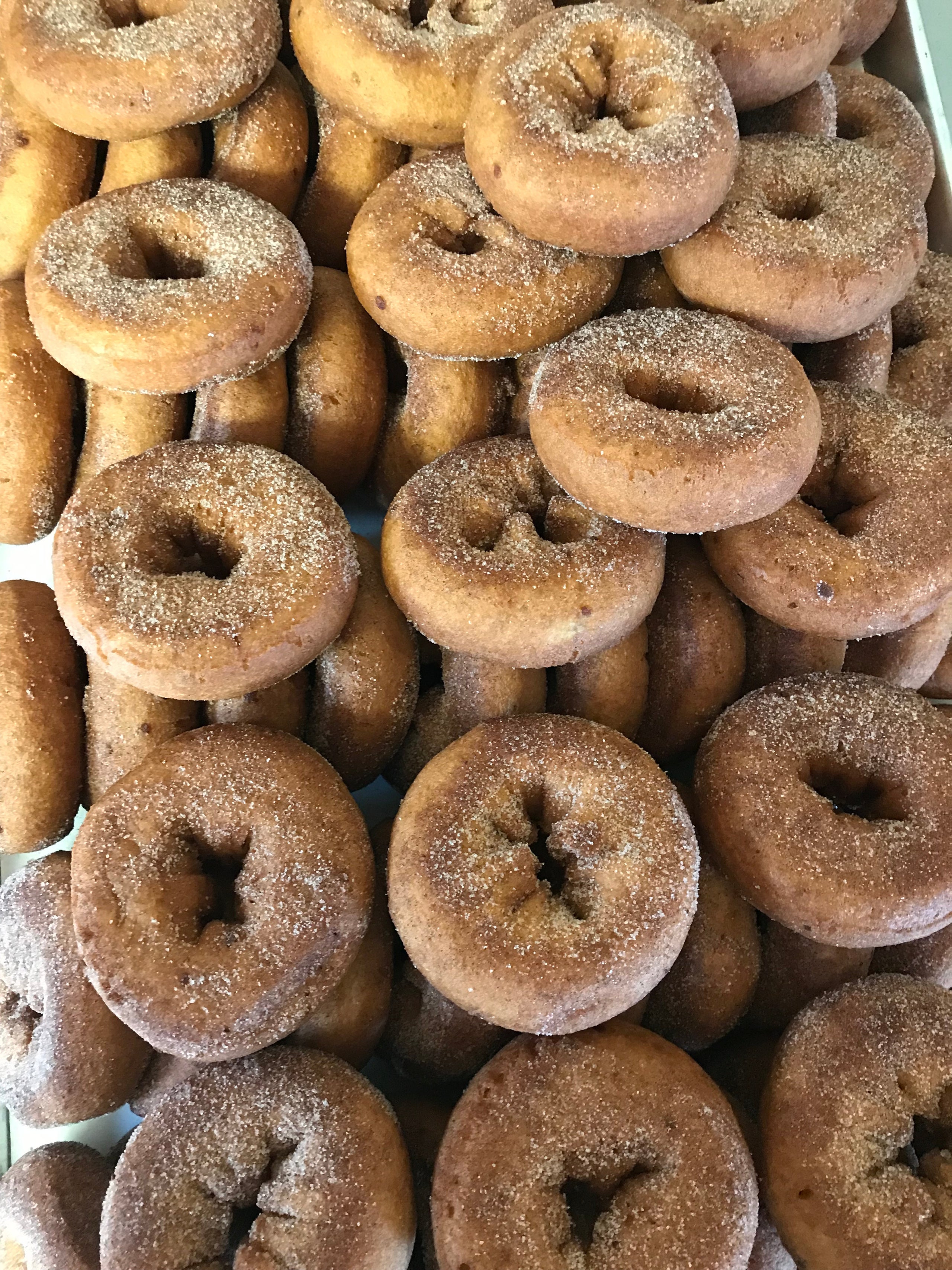 Donuts | Solly Farm